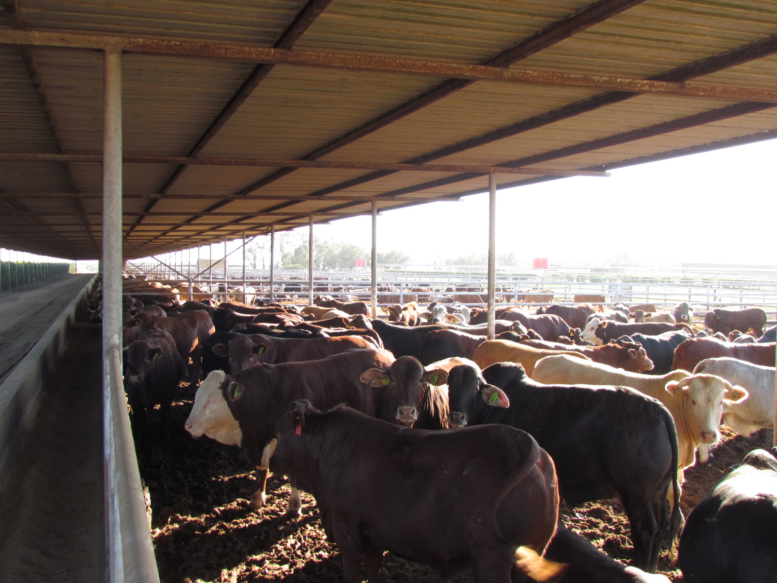 WALCON OSDAM – Walcon Ile de France