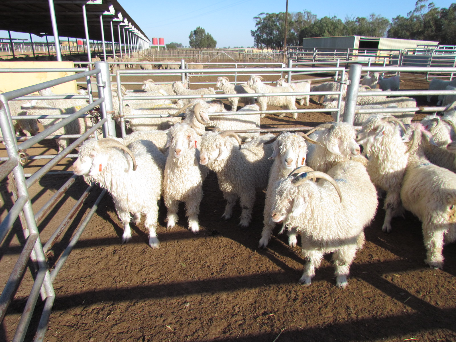 WALCON OSDAM – Walcon Ile de France