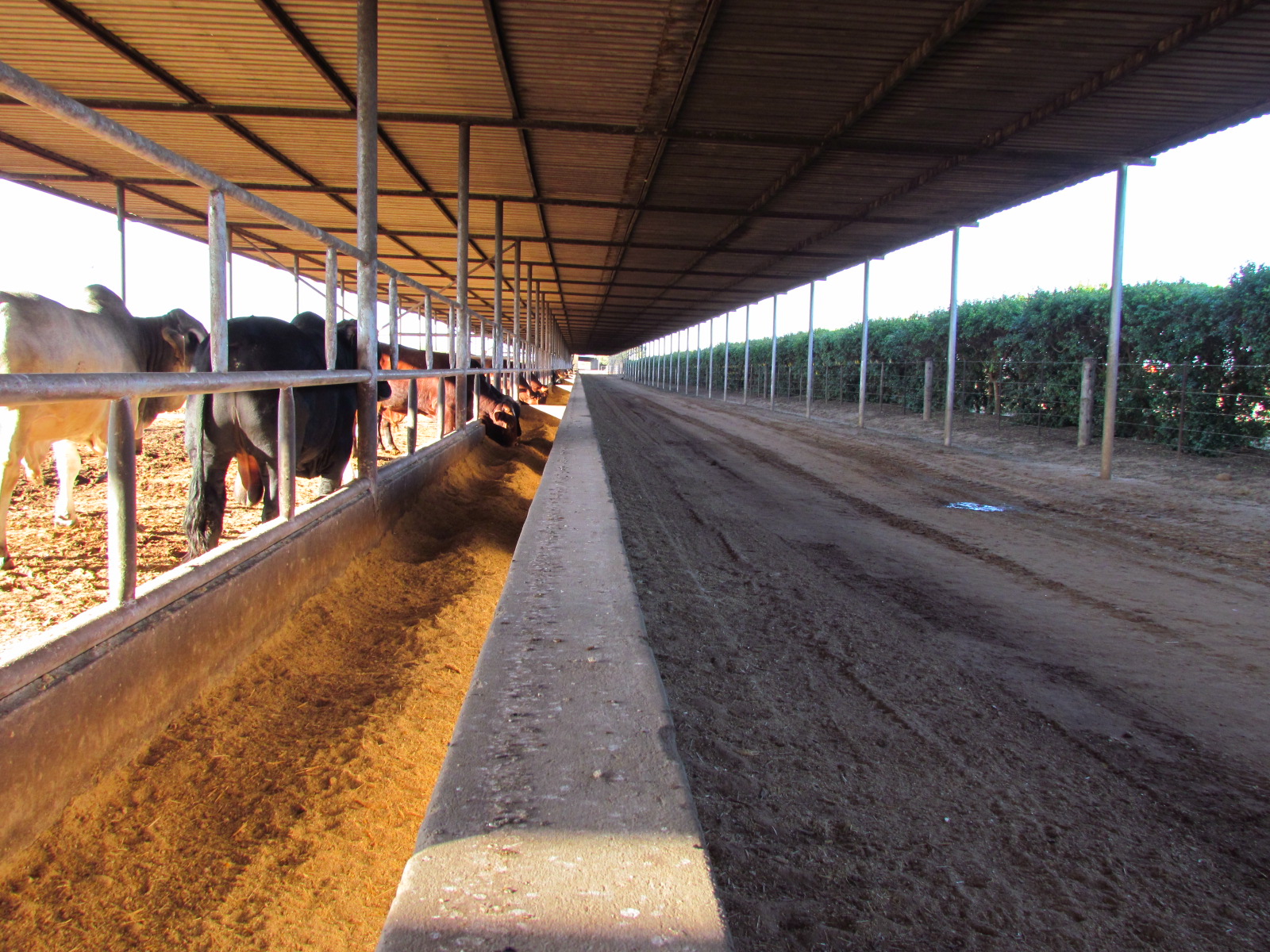 WALCON OSDAM – Walcon Ile de France