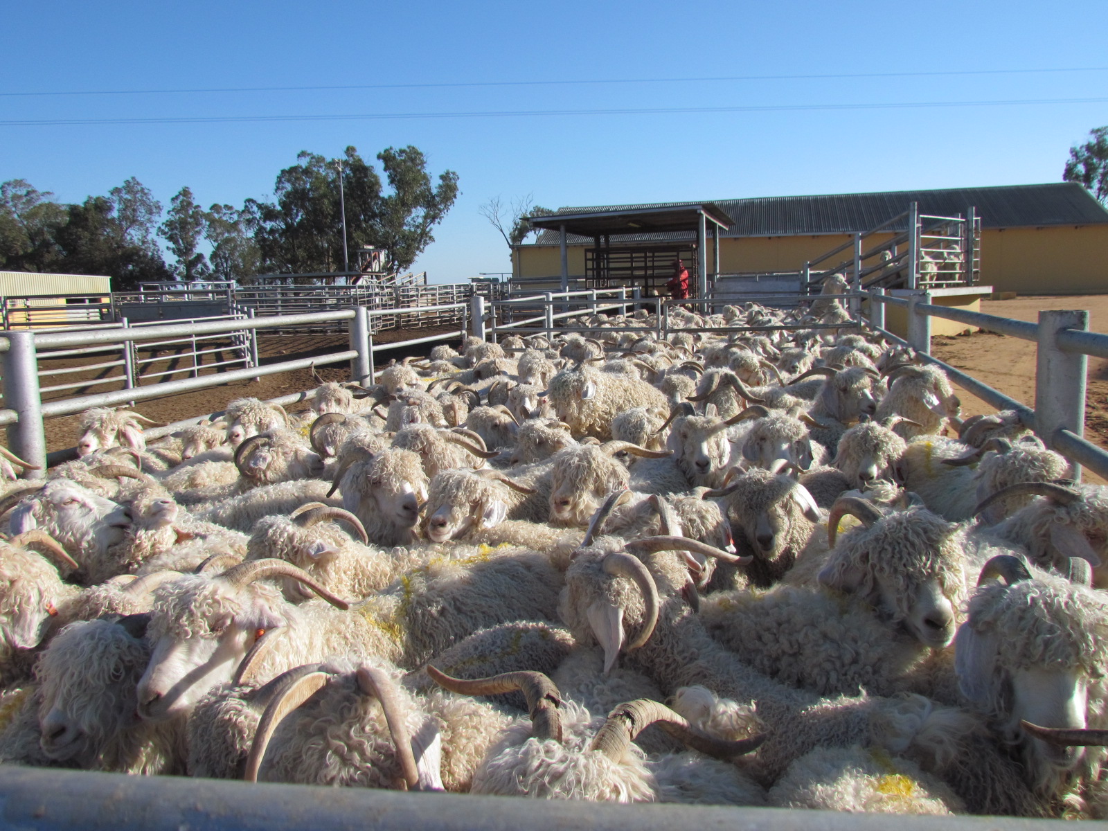 WALCON OSDAM – Walcon Ile de France