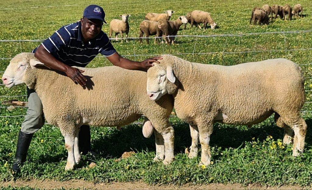 WALCON GALLERY – Walcon Ile de France